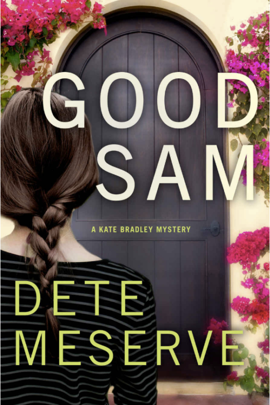 How Dete Meserve Found Bestsellerdom the DIY Way | NY Book Editors